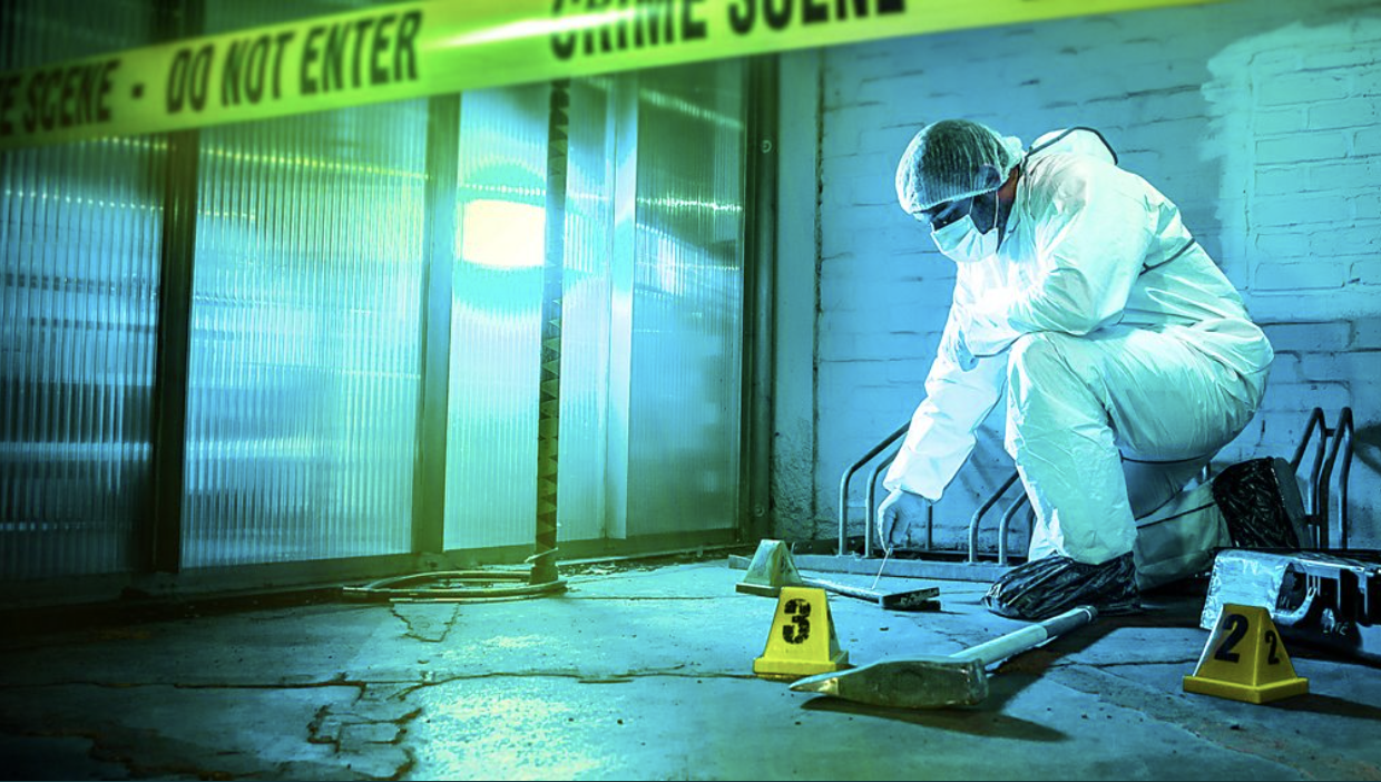 Review of Forensics: The Real CSI (BBC series) – Meddie